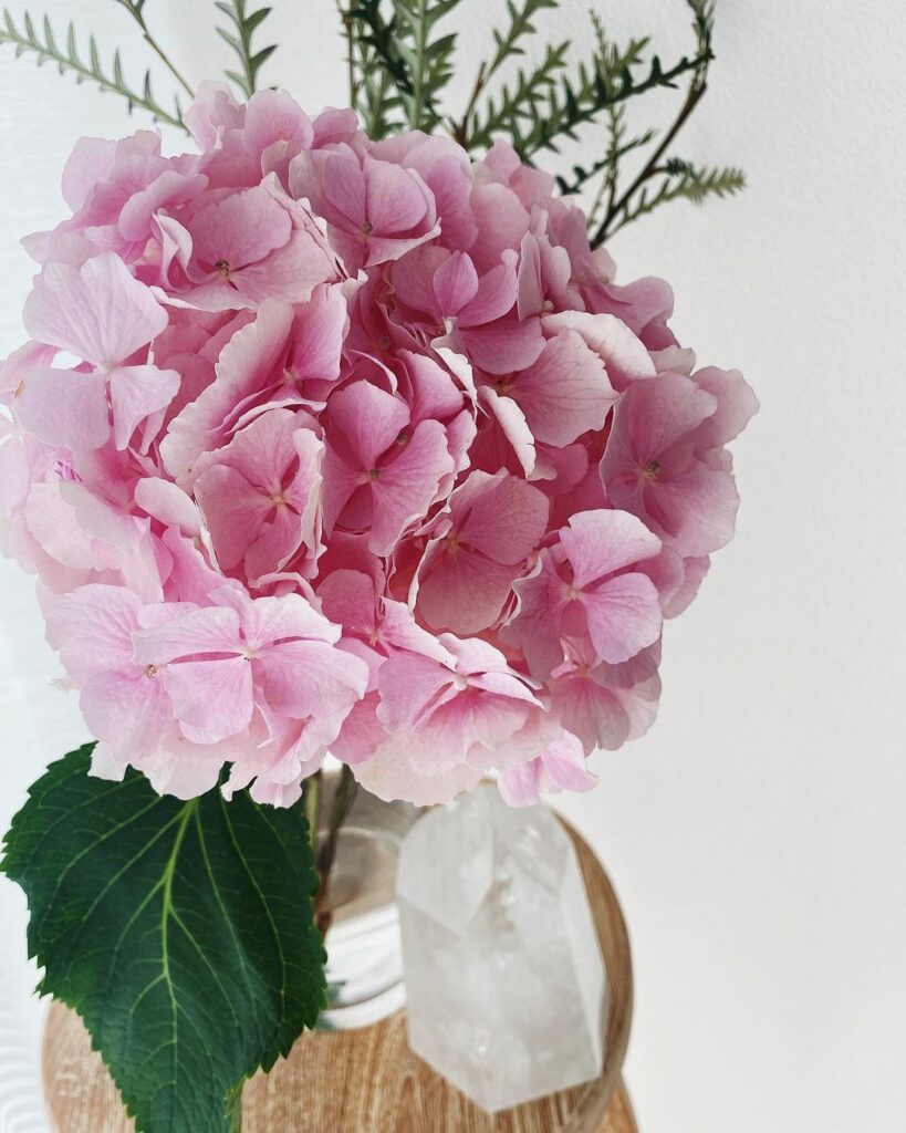 maria_flower - Moe Zine