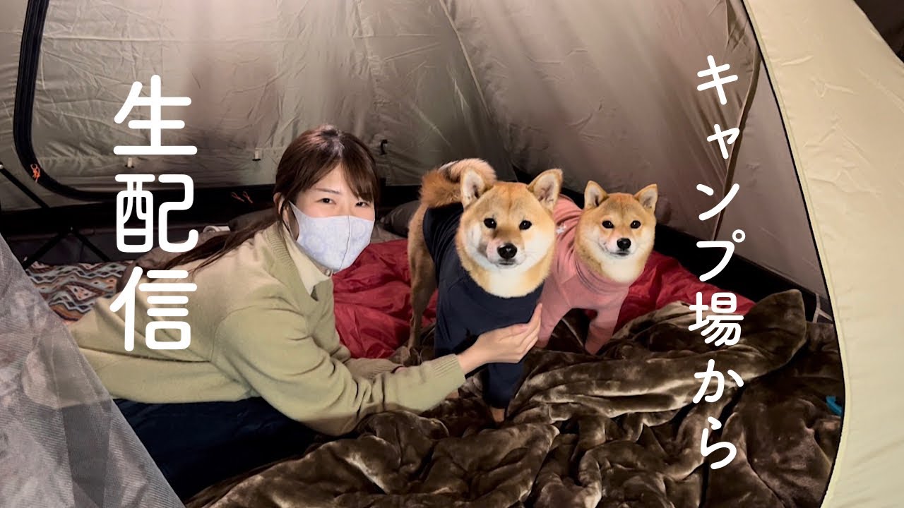 キャンプ場から生配信🏕！ - Moe Zine