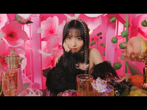 Opening Trailer -MOMO- Moe Zine