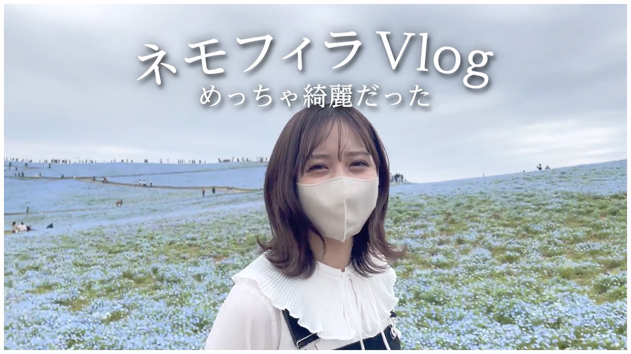 【Vlog】今年もネモフィラを見に行ってきました！ - Moe Zine