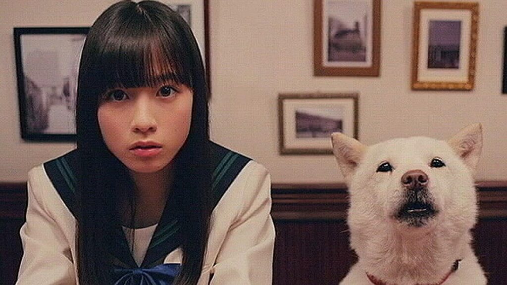 松坂慶子 CM - Moe Zine