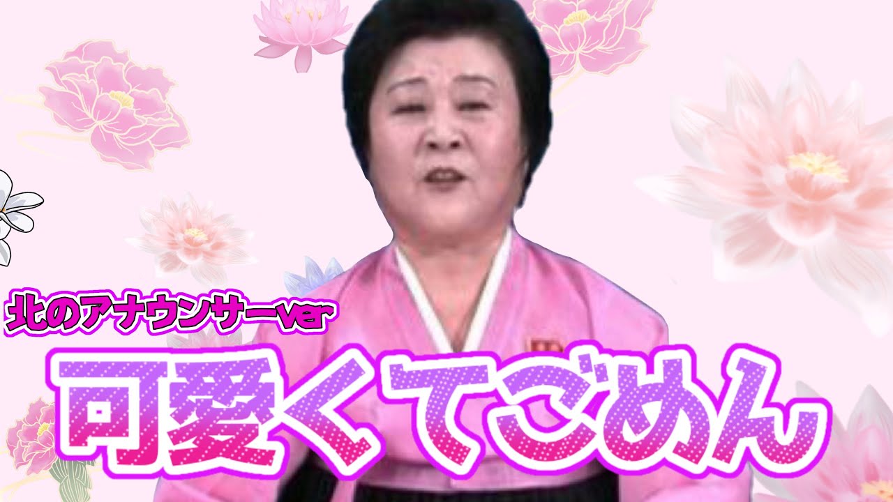 北朝鮮アナウンサー Moe Zine 