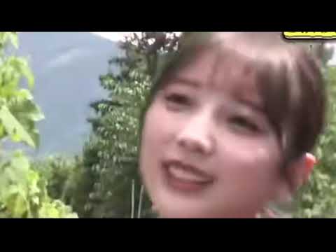 ヤギと大悟 乃木坂46 与田祐希 前半 - Moe Zine