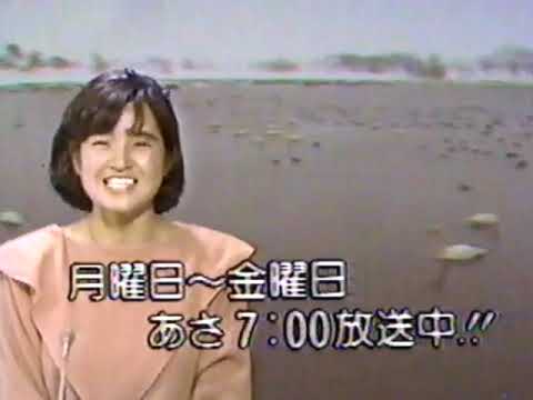 「ズームイン‼︎朝！」CM '84（新潟） - Moe Zine