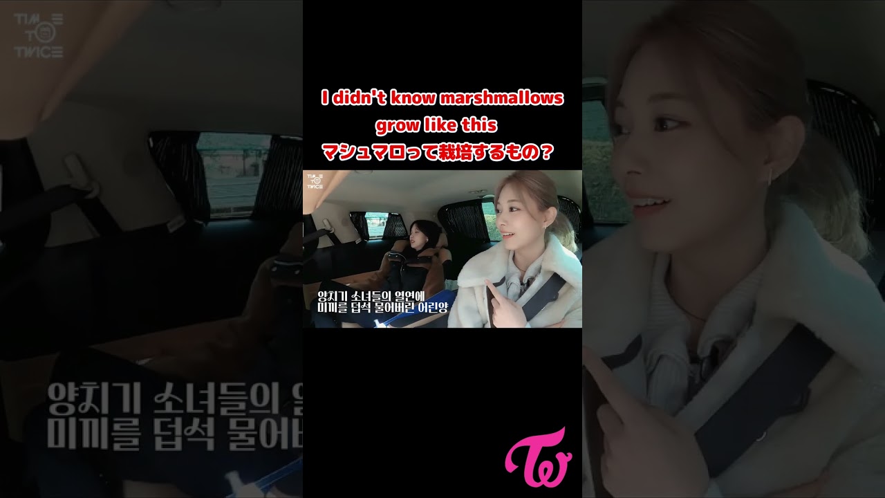 素直なTwice ツウィが騙されるのが可愛い / Twice Tzuyu got tricked is so cute / #shorts / with English sub - Moe Zine