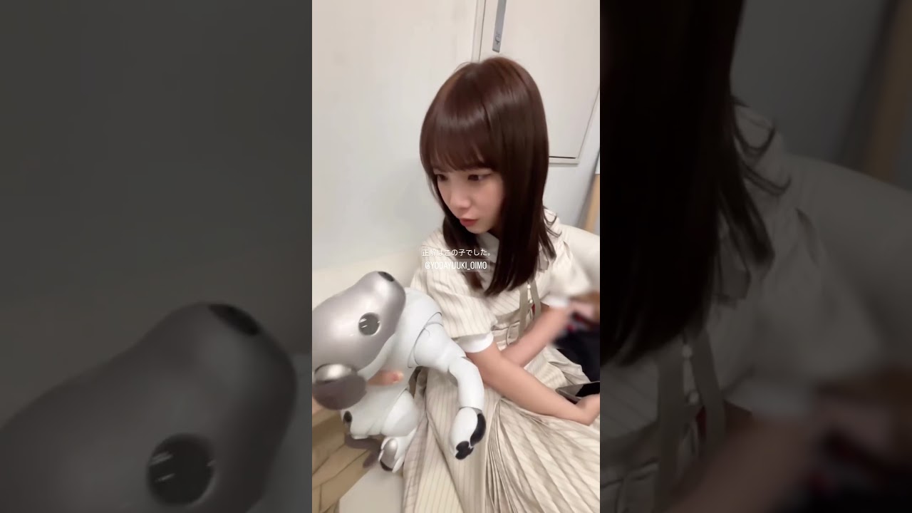 与田祐希 vs aibo #乃木坂46 #3期生 #向井葉月 #インスタ - Moe Zine