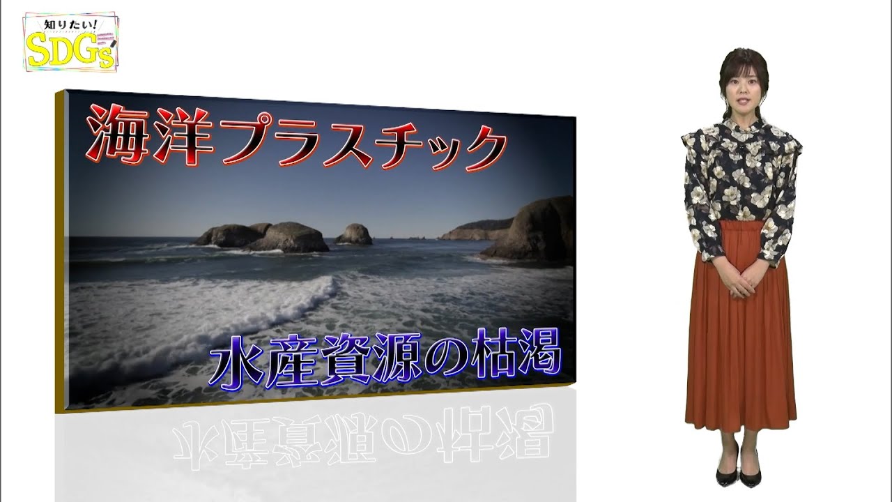 知りたい！SDGs #19 |2020年2月6日放送 - Moe Zine