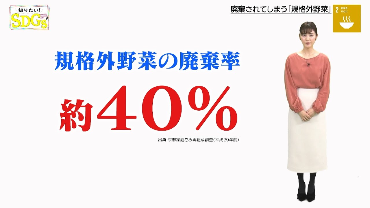 知りたい！SDGs #70 |2021年1月28日放送 - Moe Zine