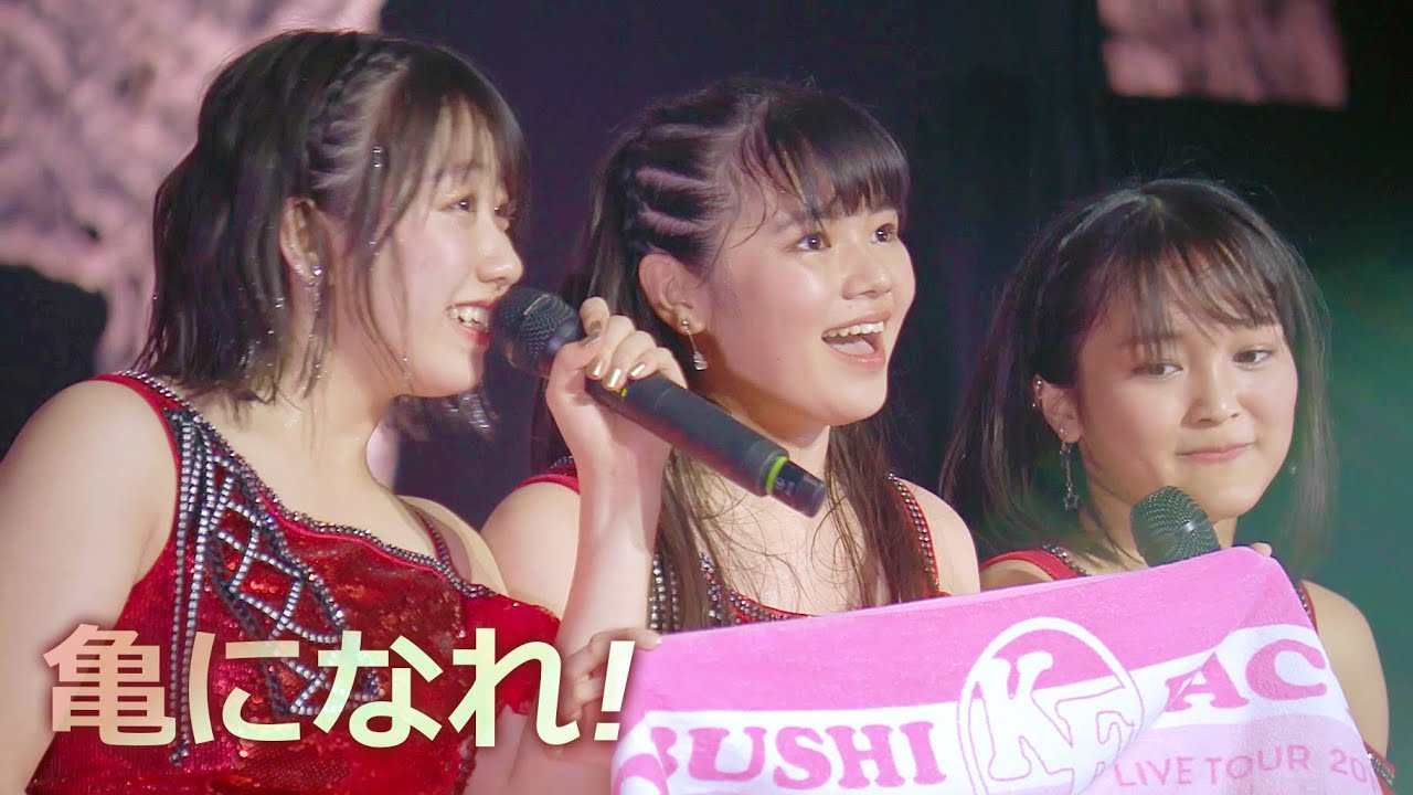 こぶしファクトリー「亀になれ！」春麗～GWスペシャル～ - Moe Zine