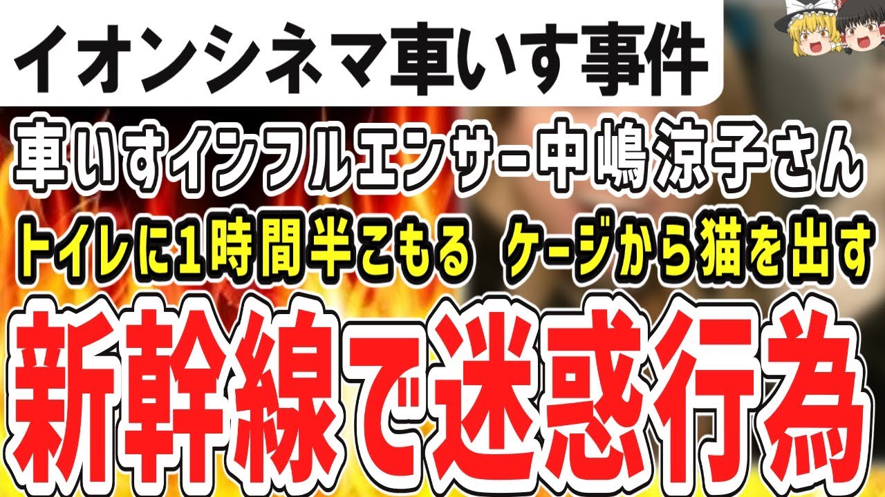 （ゆっくり）イオンシネマ車いす事件 車いすインフルエンサー中嶋涼子さん過去の迷惑行為が出てきて大炎上！ Moe Zine