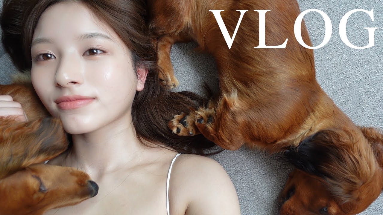 [VLOG] お久しぶりです。 - Moe Zine