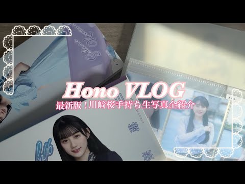 【Vlog】Hono VLOG#47 最新版！川﨑桜ちゃん手持ち生写真 全紹介🌸🎀🤍 - Moe Zine