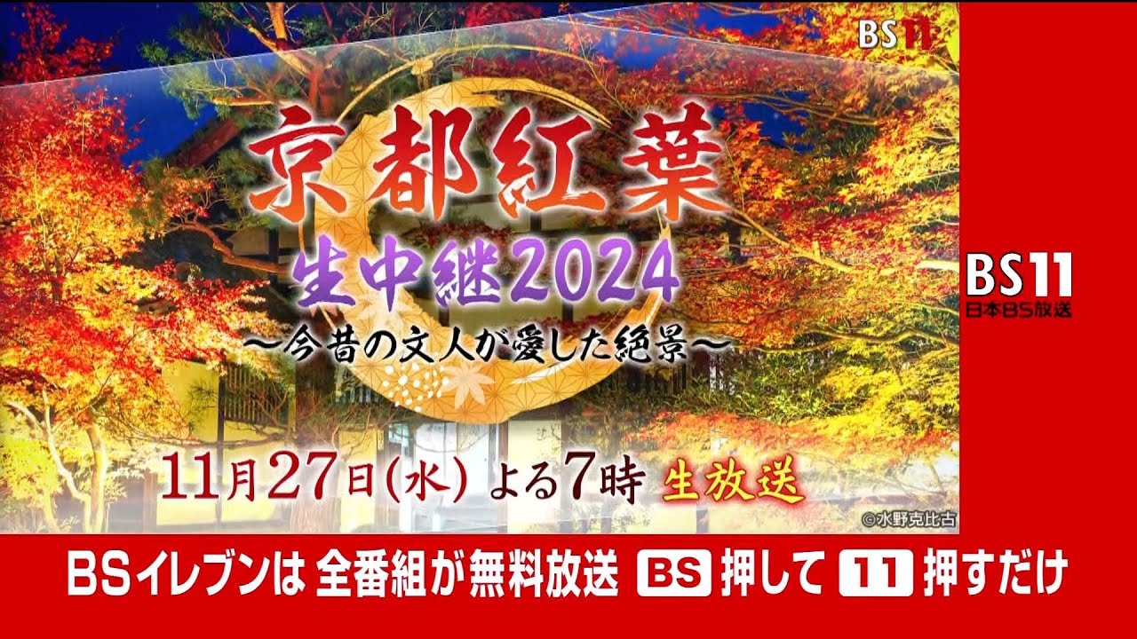 【生放送】京都紅葉生中継2024 11月27日（水）よる7時（BS11） - Moe Zine