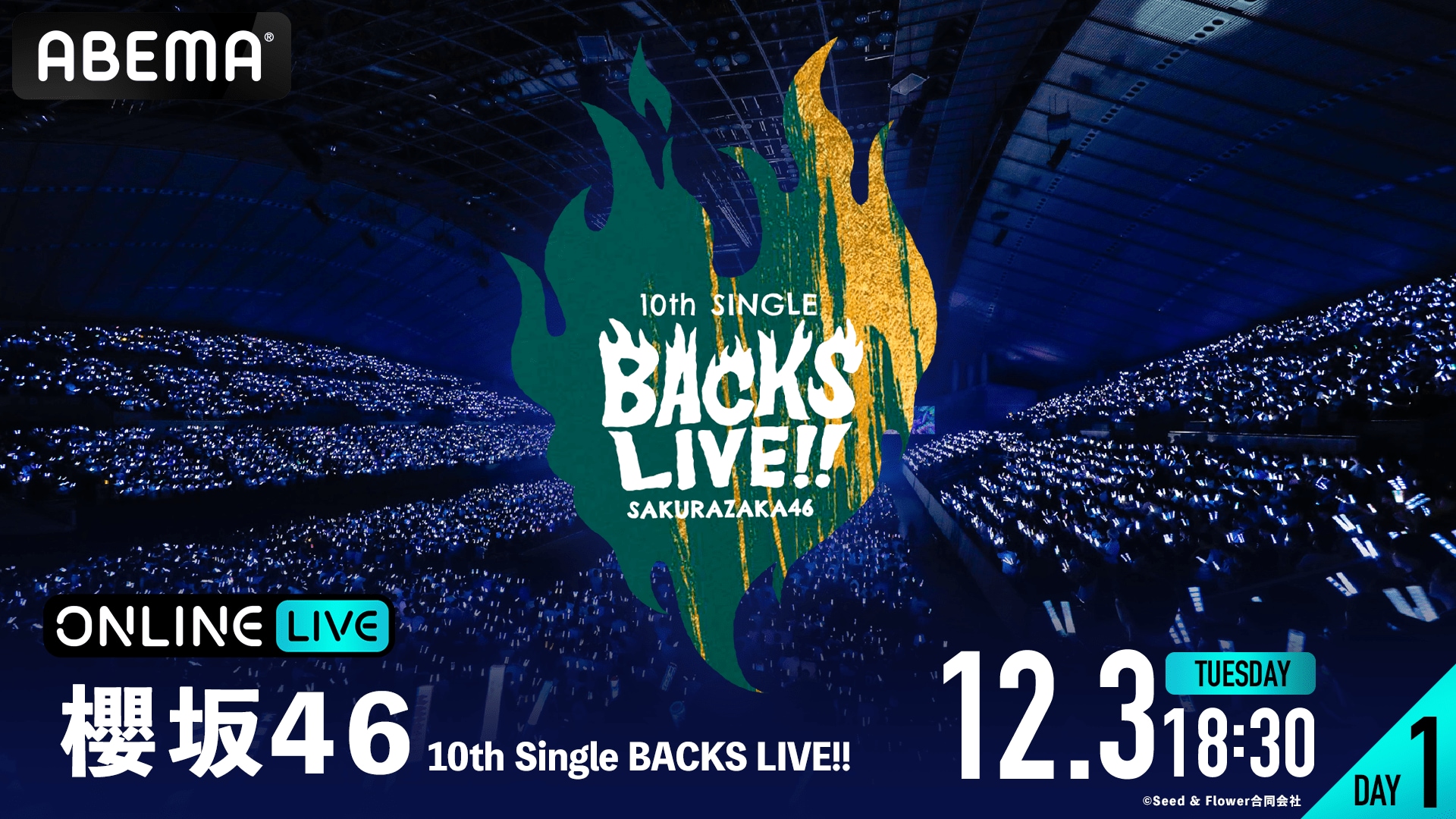 アイドルグループ・櫻坂46による『10th Single BACKS LIVE!!』をABEMA PPVにて2日間連続生配信が決定【12月3日、4日】 - Moe Zine