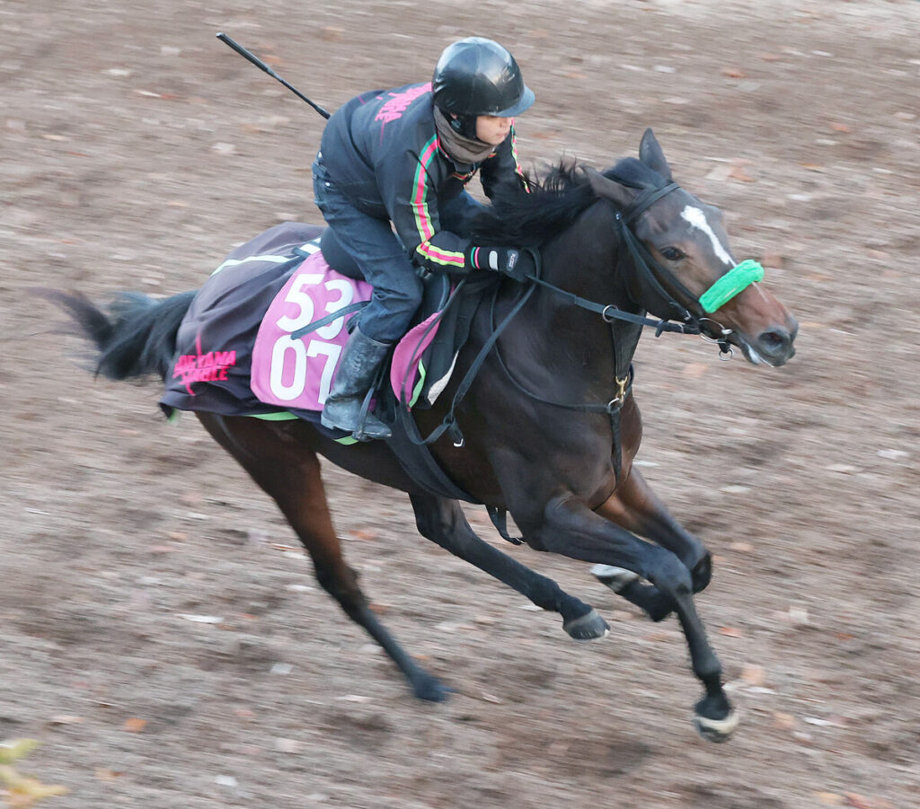 衝撃の一日（栗東） - UMATOKU | 馬トク - Moe Zine