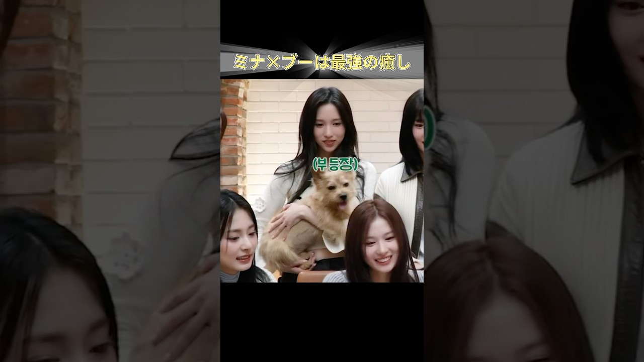 ミナ×ブーは最強の癒し #TWICE #JYP #KPOP #ミナ #MINA #ミサモ #MISAMO - Moe Zine