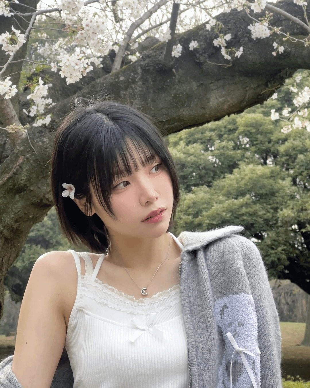 liyu：🌸🌸🌸akura - Moe Zine