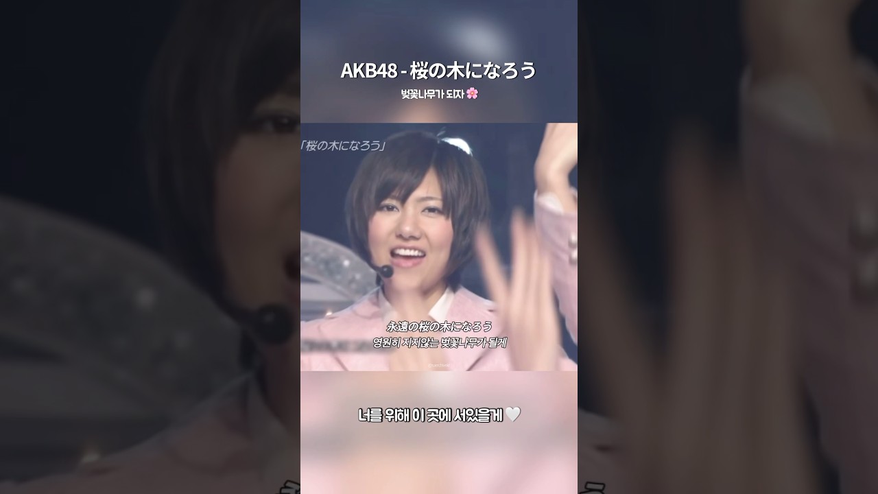 桜の木になろう #akb48 - Moe Zine