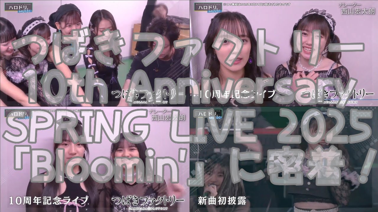 つばきファクトリー 10th Anniversary SPRING LIVE 2025 「Bloomin'」に密着！ - Moe Zine